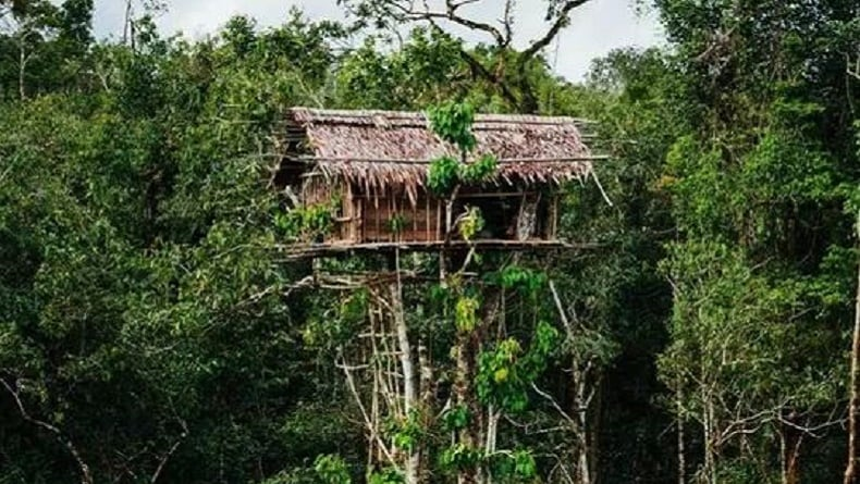 Korowai, the Tree-dwelling Tribe Safeguarding Papua’s Forests – West ...
